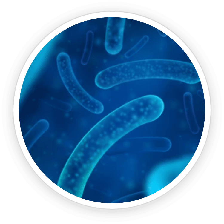 BrainSync - Text Presentation